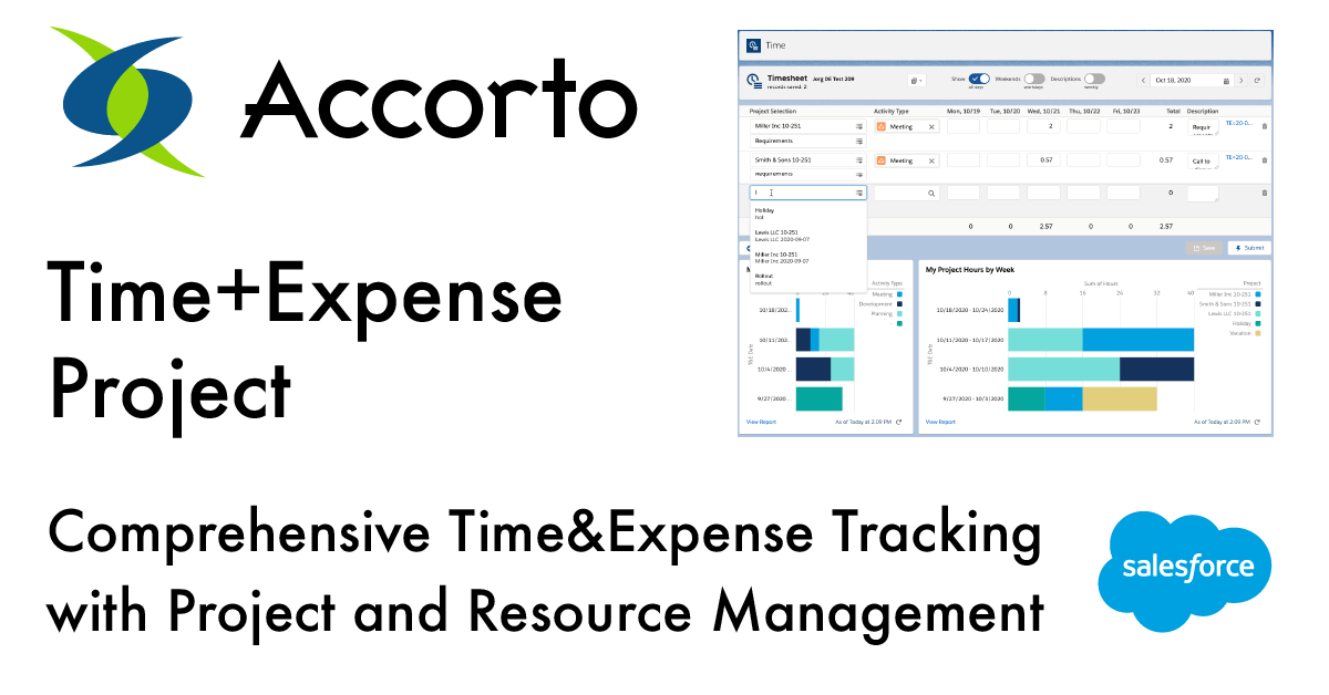 Professional Services Application | Accorto